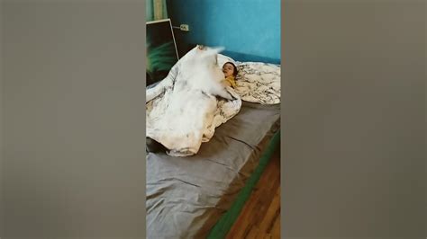 Я когда мама попросила заправить постель Youtube