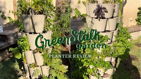 Greenstalk Planter Review 5 Tier Original 7 Tier Leaf Part 1