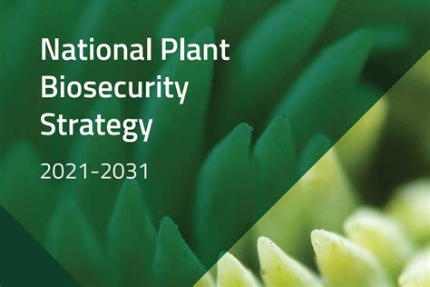 National Plant Biosecurity Strategy Action Plans For 2022 23 Released