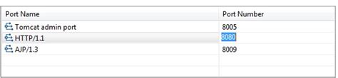 Java Liferay Installed But Localhost8080 Return No Data Received