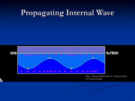 Ens Alicia A Washkevich Usn Ppt Download