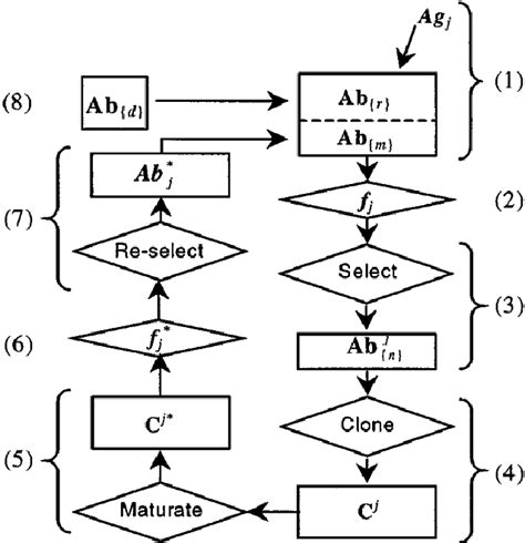 The Clonal Selection Algorithm Download Scientific Diagram