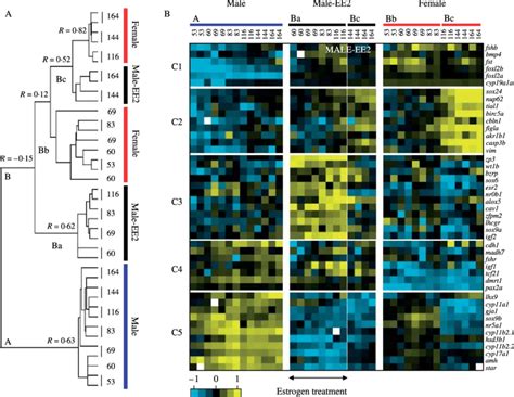 a unsupervised hierarchical clustering classification of the