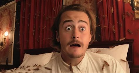 Daily Star Guide To The Bed Bug Invasion Detection Prevention And How To Kill Them Trendradars