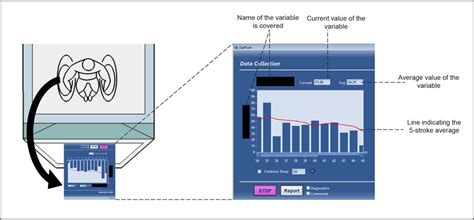 Real Time Visual Feedback Screen Participants In The Feedback