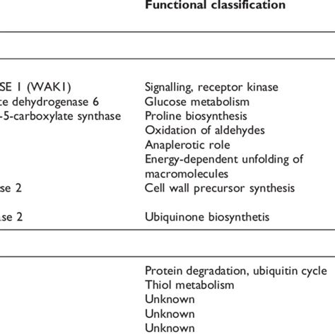 Genes With Altered Transcript Levels In The Exo Mutant Download Table