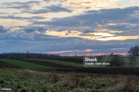 우크라이나의 농경지에 지는 석양 어린 녹색 겨울 작물 조각이 어두운 쟁기질지와 번갈아 가며 저녁 하늘을 배경으로 물결 모양의 패턴을 만듭니다 0명에 대한 스톡 사진 및 기타