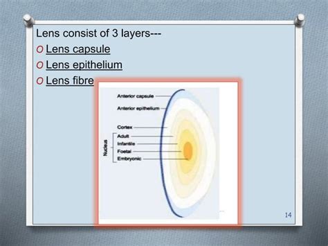 Optics Of Ocular Structure Pptx
