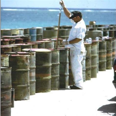 Pdf Agent Orange And Its Dioxin Contamination