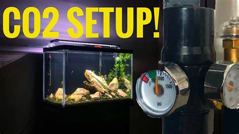 Aquarium Co2 Setup Guide At Larry Yockey Blog