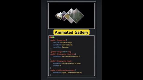 Animated Gallery Html Reactfrontend Coding Python Html Css3