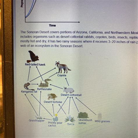 Limiting Factors In An Ecosystem