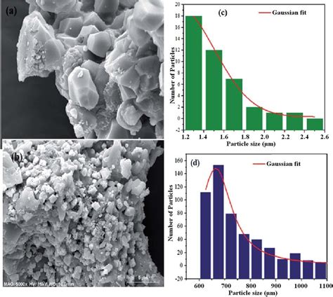 Sem Micrograph Of The Fractured Surface Of Ncs Ss A And Ncs Cp B