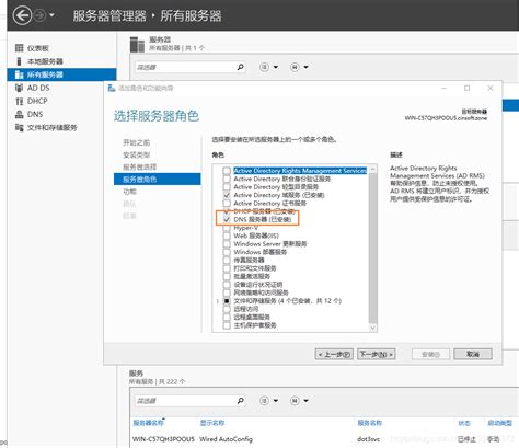 私有化dns服务器搭建 私有域名服务器 csdn博客