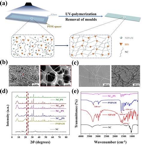 Paper Structure Inspired Multiresponsive Hydrogels With Solvent Induced Reversible Information