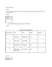Lab Rocks And Minerals Docx Rebekah Simpkins Answer
