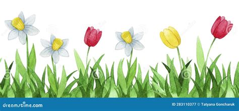 Cute Illustration Of A Meadow With Spring Flowers Tulips And Daffodils Stock Illustration