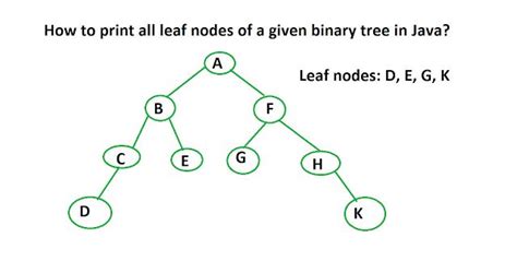 How To Print All Leaf Nodes Of Binary Tree In Java Binary Tree Java Java Programming Tutorials