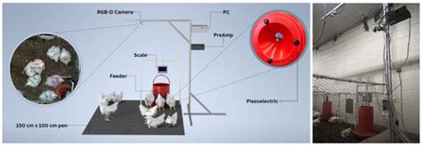 Agriengineering Free Full Text Chickensense A Low Cost Deep Learning Based Solution For