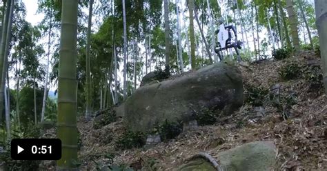 Deep Robotics New Quadruped Models With Wheels Demonstrating Rough Terrain Traversability And