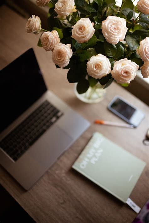 introducing squarespace s newest website content editor fluid engine