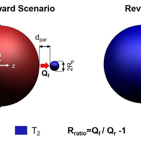 Schematic Diagram Of Nfrht And Thermal Rectification Between Two