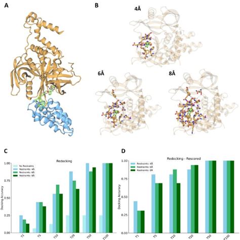 Pdf Rational Prediction Of Protac Compatible Protein Protein Interfaces By Molecular Docking
