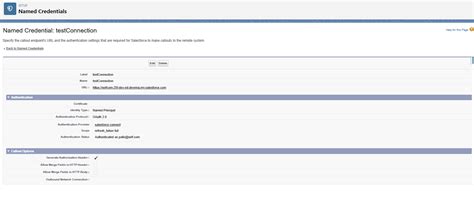 Salesforce To Salesforce Integration Using Oauth 20 A Comprehensive