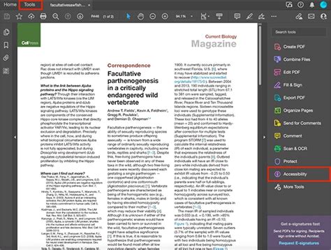 PDF Accessibility Accessibility USU