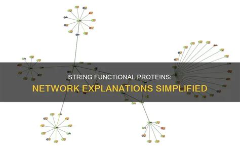 String Functional Proteins Network Explanations Simplified Medshun