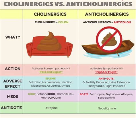 Cholinergic Vs Anticholinergic Drugs Medizzy