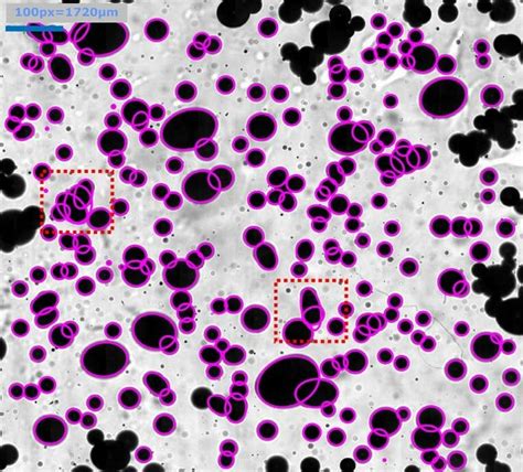 Performance Of The Deterministic Ellipse Recognition Algorithm The Download Scientific Diagram