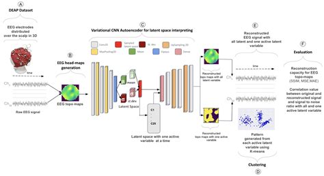 information free full text interpreting disentangled
