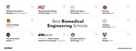 Best Biomedical Engineering Schools 2025 Amber