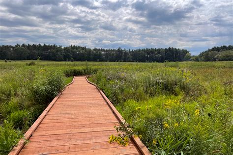 On The Trails New Stewards And Curtis Prairie Boardwalk Uw Arboretum