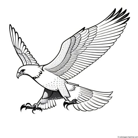 Dessins à Imprimer Et Colorier Faucons Et Aigles Coloriages à Imprimer