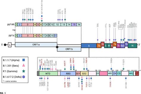 Figure 1 From Current Molecular Diagnostics Assays For Sars Cov 2 And Emerging Variants 3