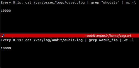 Bug Found On Fim Whodata Due To Audit Socket Lossing Some Events