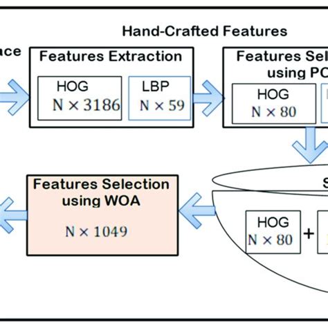 Pretrained Vgg19 Architecture For Feature Extraction Using Transfer Download Scientific Diagram
