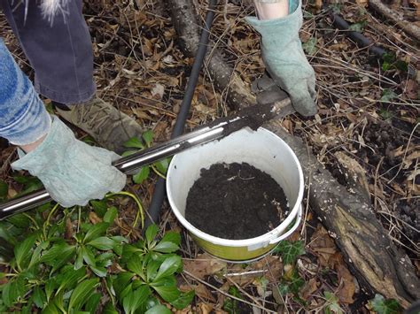 Soil Sampling Methods At Max Nielsen Blog Soil Sampling Methods At Max Nielsen Blog