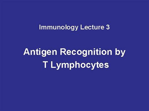 Immunology Lecture Antigen Recognition By T Lymphocytes