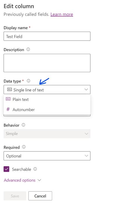 D365 The Autonumber Field Fisoft Consulting