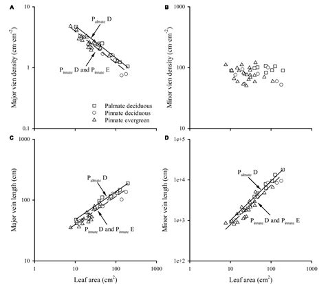 Leaf Venation Architecture In Relation To Leaf Size Across Leaf Habits