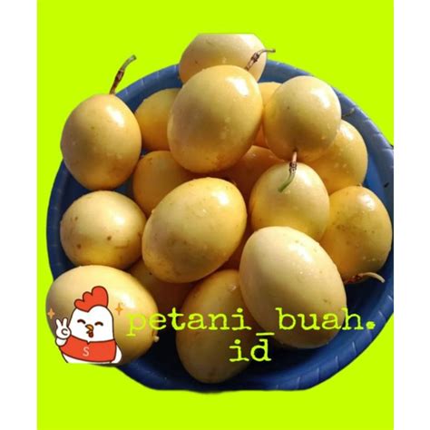 Jual Buah Markisa Kuning 1 Kg Shopee Indonesia
