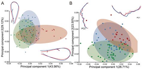 Geometric Morphometrics And Genetic Diversity Analysis Of Chalcidoidea Diglyphus And