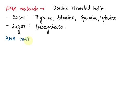 solved a nucleotide that rna uses but dna does not is blank multiple