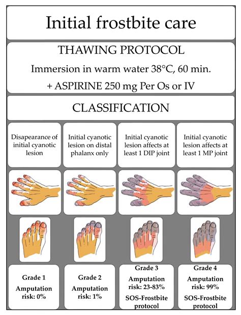 Hyperbaric Oxygen Therapy With Iloprost Improves Digit Salvage In
