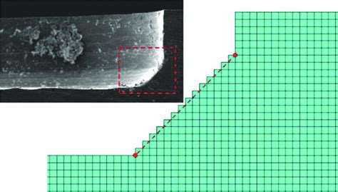 Finite Element Model Used For The Evaluation Of The Calibration