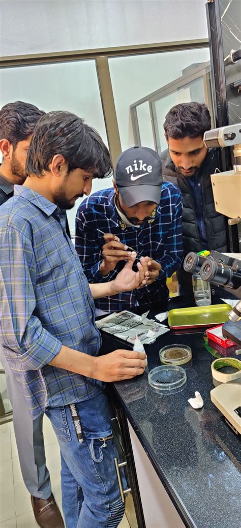 Ijaz Ali On Linkedin Microscopy Is Also An Art🔬