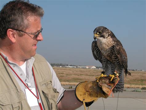 Bird Chasers Help Keep March Skies Clear Of Unwanted Birds Air Force